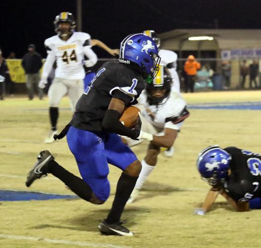 End of the Line: Lions stunned by Tigers in third round of 2A playoffs ...