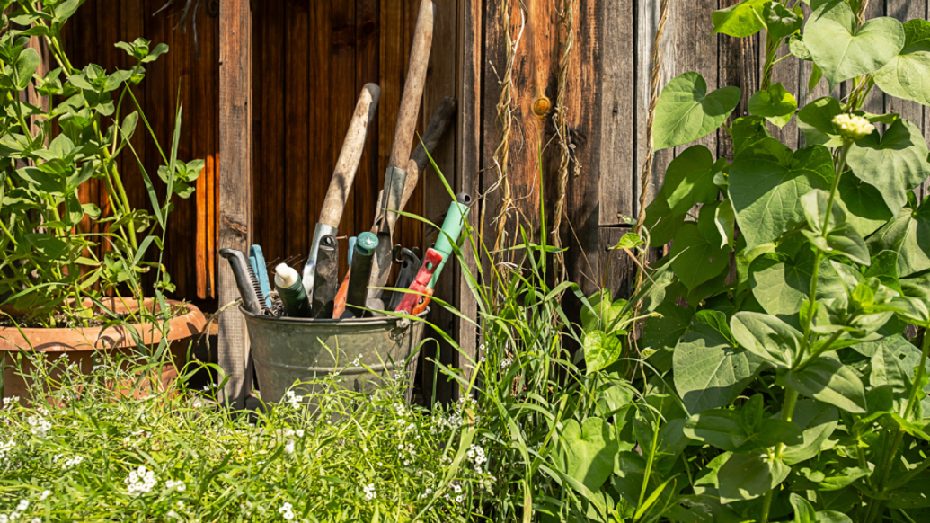 The nationwide movement turning guns into garden tools | News ...