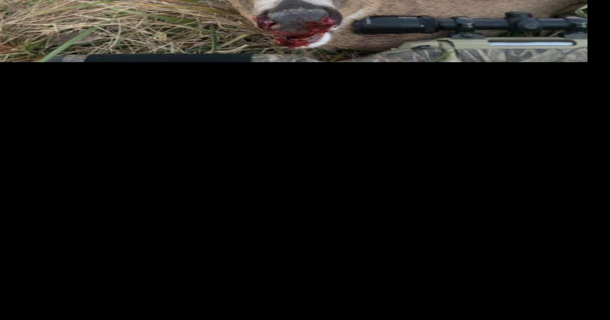 Look at introduction to hunting from kids’ POV | Sports | djournal.com