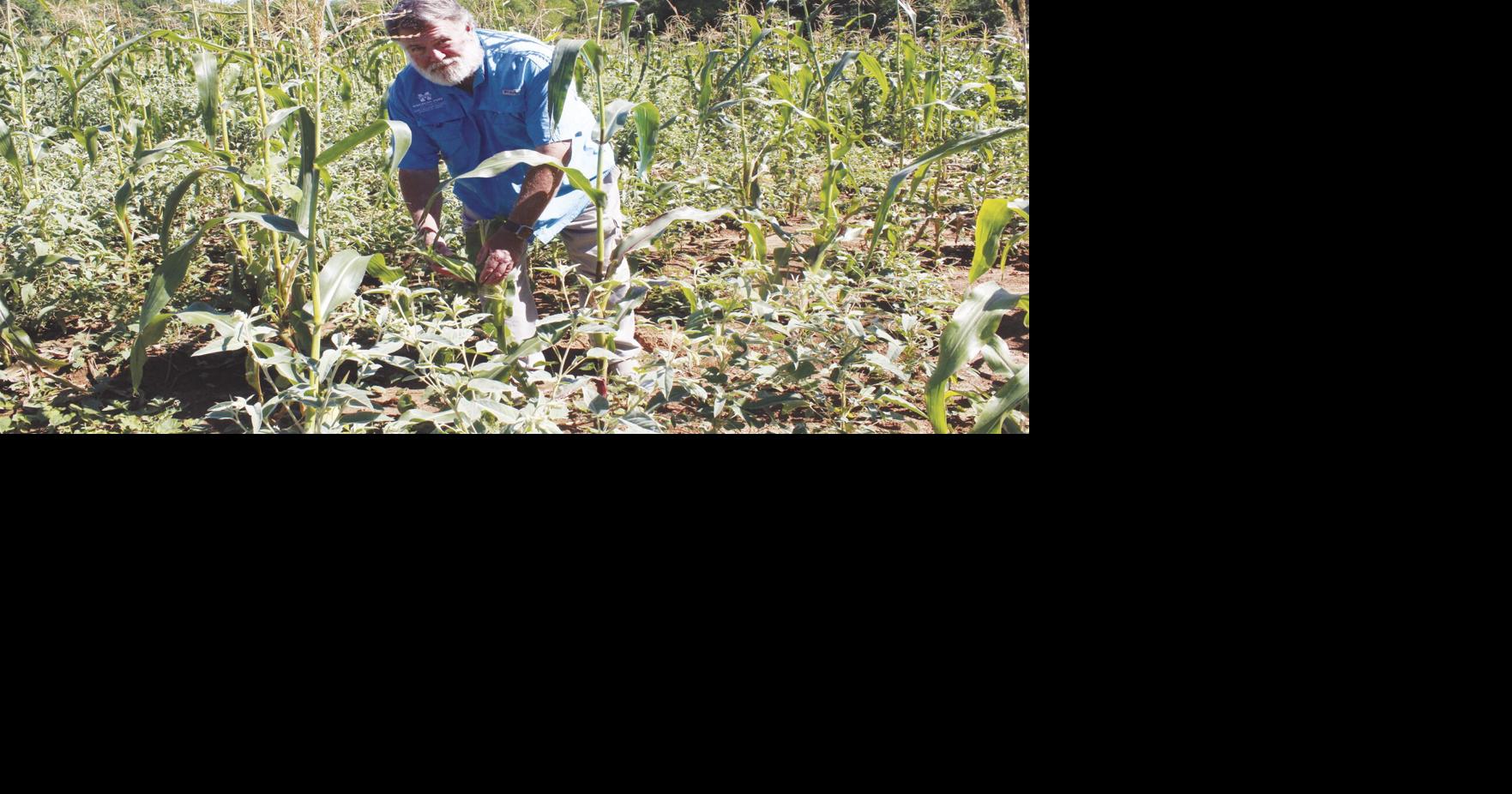 Steven Tucker hired as Pontotoc's MSU Agriculture Agent | News ...