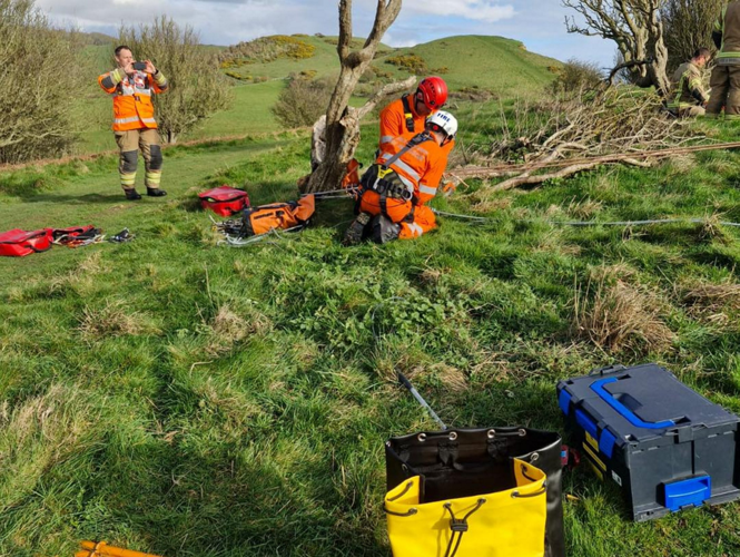 Dog rescued after falling off cliff edge | News | djournal.com