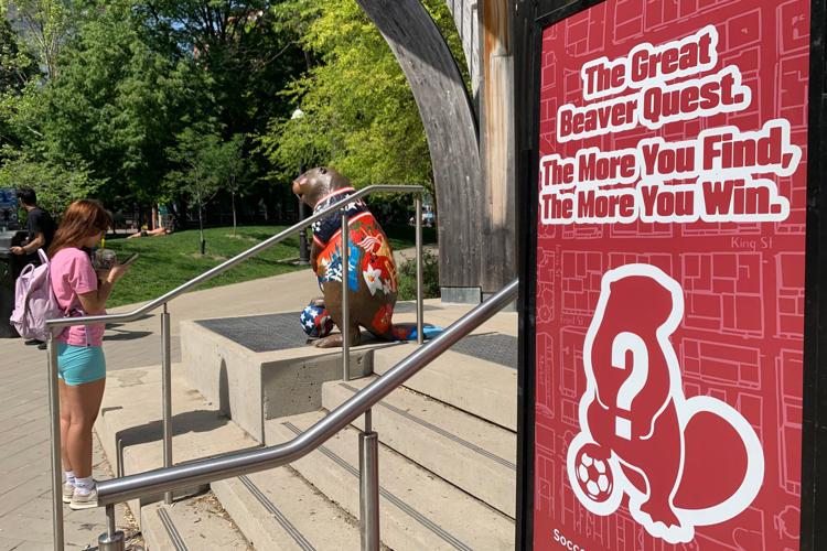 Join the beaver hunt: Toronto neighborhood offers unique World Cup ...