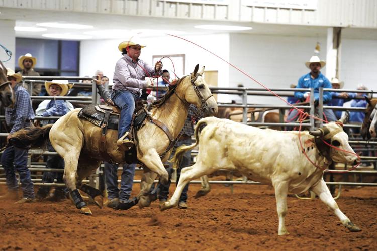 Pontotoc County Fair and Rodeo | Photos | djournal.com