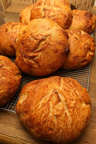 Native Son Farm bakery growing quickly into its own | Food | djournal.com