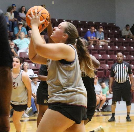 Lady Noles switching things up in summer play | Sports | djournal.com