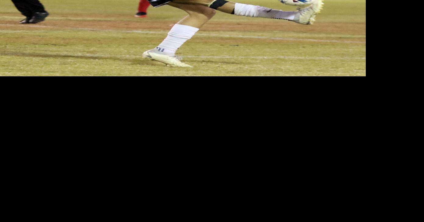 Panthers cruise to shutout victory over division rival Shannon | Sports ...