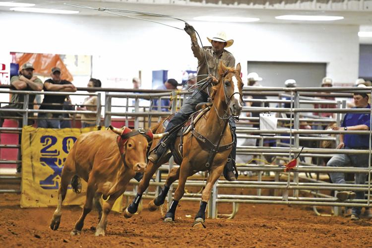 Pontotoc County Fair and Rodeo | Photos | djournal.com