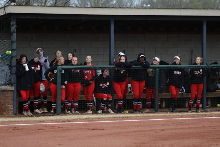 Lady Hawks win county softball championship | Myrtle Sports | djournal.com