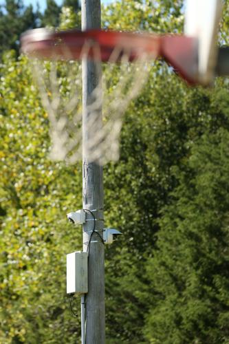 Tupelo officials eyeing real-time city surveillance software | Local ...