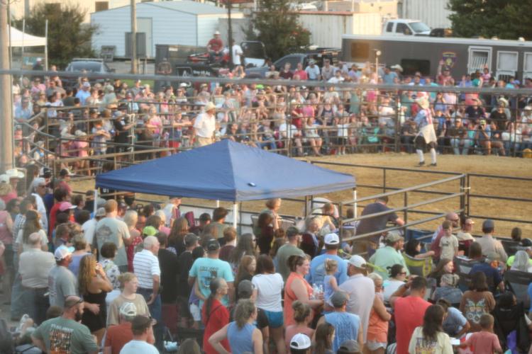 Amory celebrates Juneteenth, Bulls on Main | Living | djournal.com
