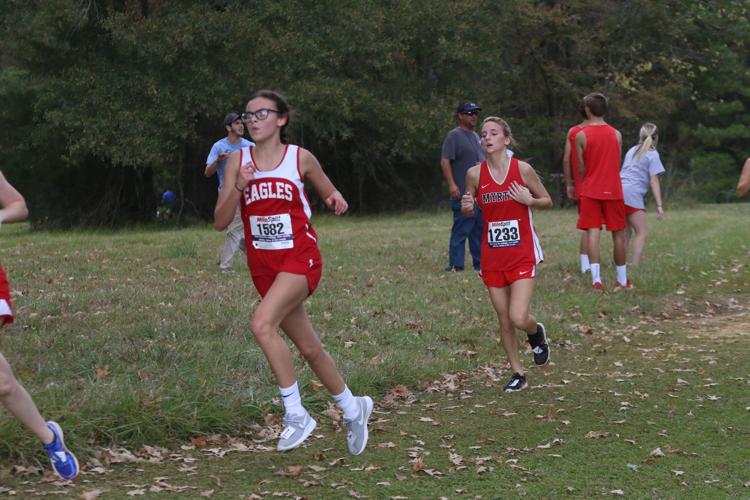 High flying Hawk | New Albany Gazette | djournal.com