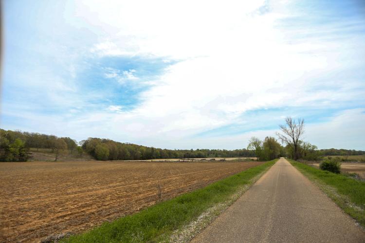 Riders from across Northeast Mississippi ride, walk the Tanglefoot ...