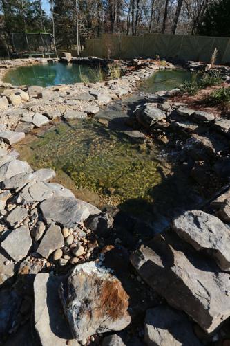 Landscapers create natural pool for Tupelo couple | Lifestyle ...