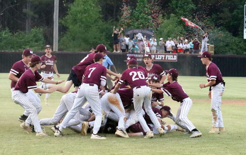 Wolverines complete North half sweep over Lions | High school Sports ...