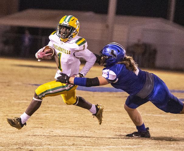 Lions’ season ends after second-round loss to Taylorsville | Sports ...