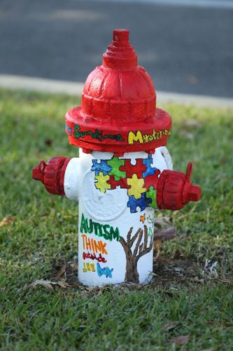 Joyner neighborhood resident enjoys painting fire hydrants as part of ...