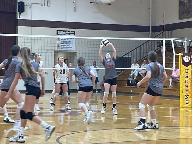 Sherwood shows up when game's on the line | East Union | djournal.com