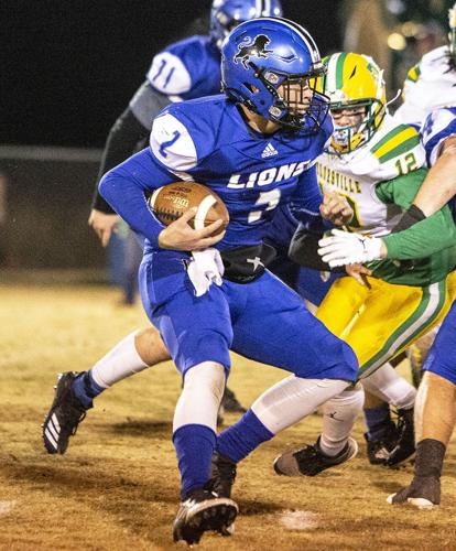 Lions’ season ends after second-round loss to Taylorsville | Sports ...