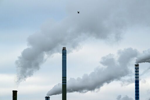 Trump tariff threat 'poison' for Germany's fragile recovery | News ...