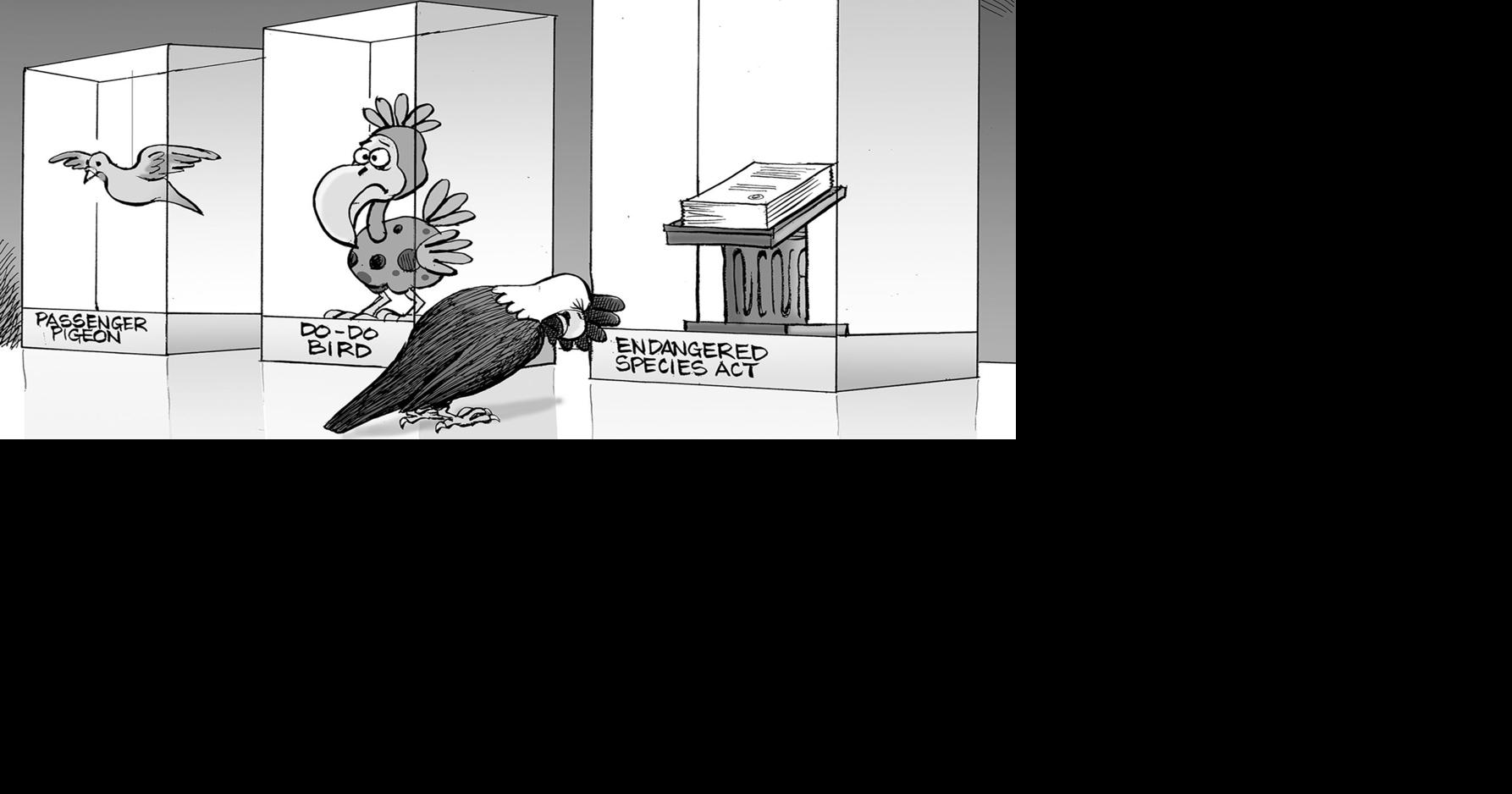 Editorial cartoon: Wednesday, July 25, 2018 | Editorial Cartoons ...