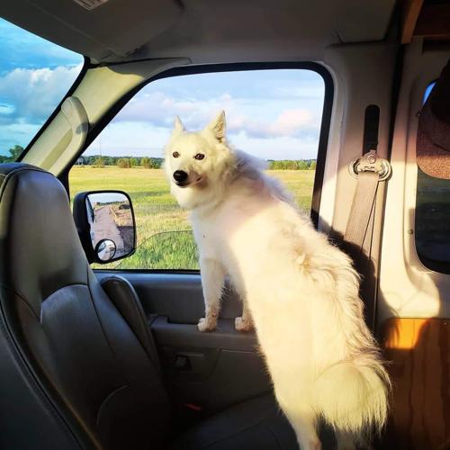Madison Curtis on van life, photography and working as a barista ...