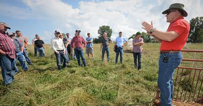 Grassfed animal production can be a way to save the family farm ...