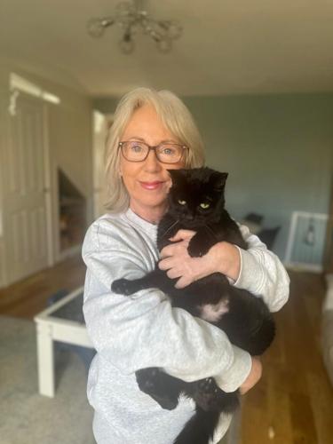 Lost cat reunited with owner 12 years after going missing | News ...