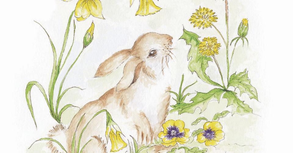 Two species of rabbits found in Mississippi | Lifestyle | djournal.com