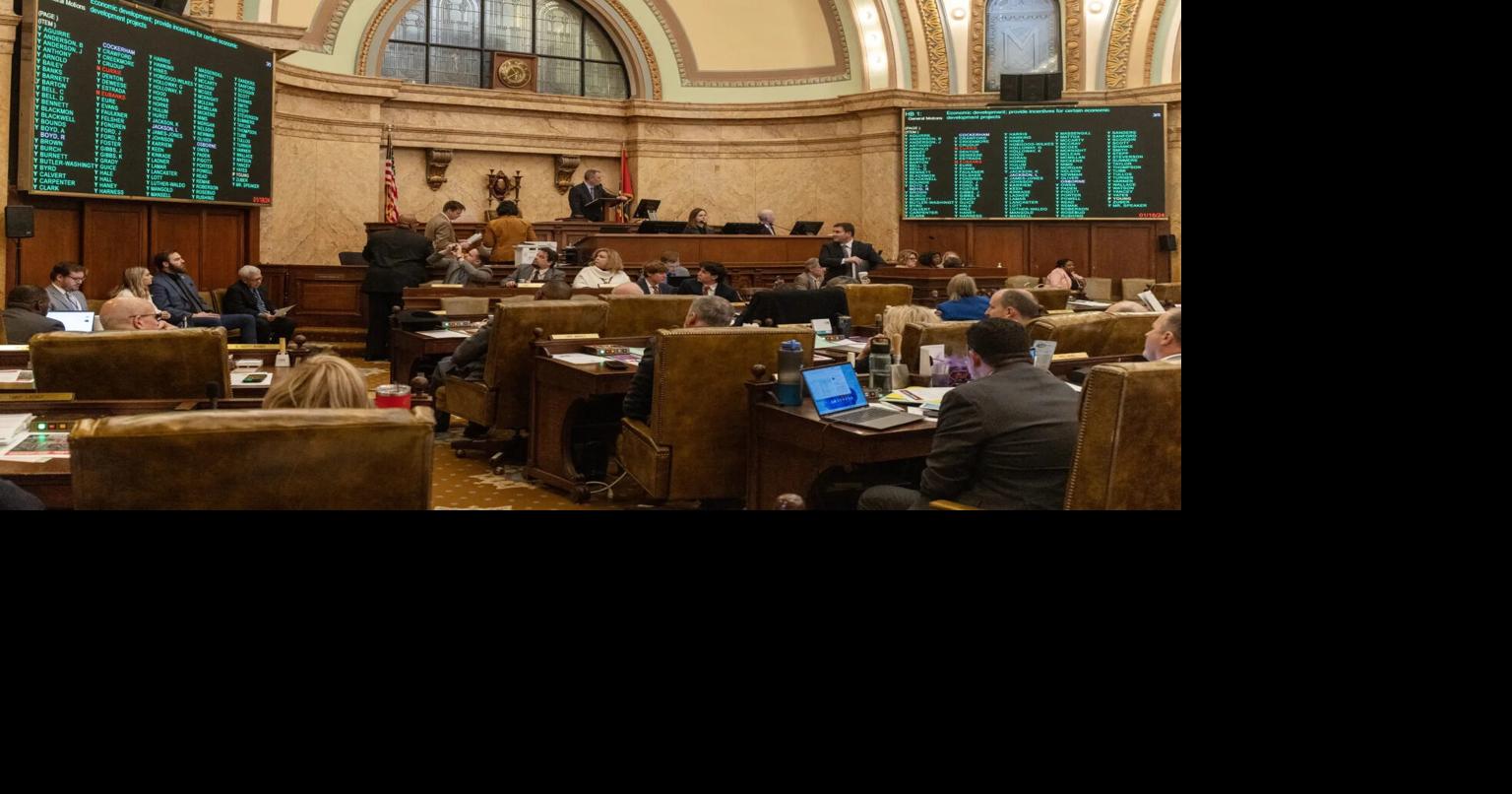 Speaker says he has no problem streaming House committee meetings ...