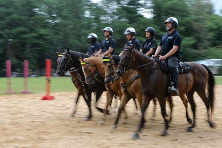 Members of Oxford PD's mounted unit train to patrol on horseback ...