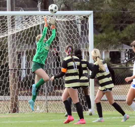Lady Panthers upset Lady Blue Devils with narrow, shutout victory ...