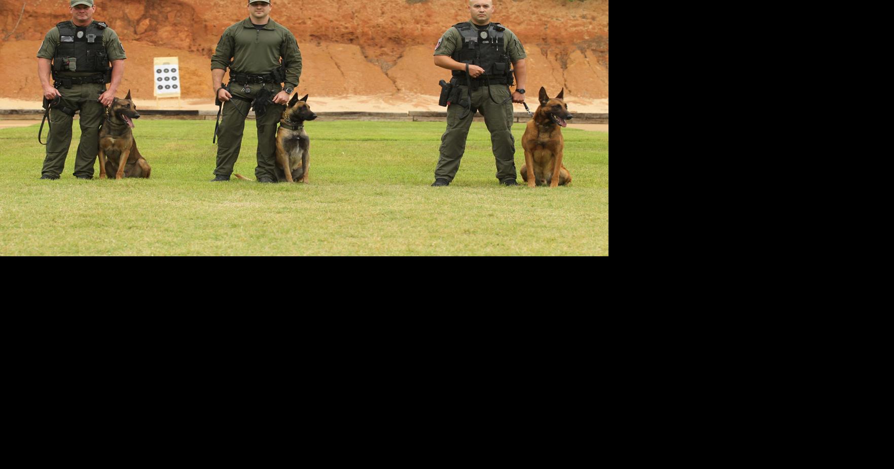 Tupelo Police retire longtime K-9 officer following attack | Local News ...