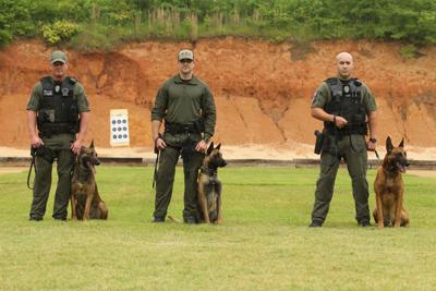 Tupelo Police retire longtime K-9 officer following attack | Local News ...