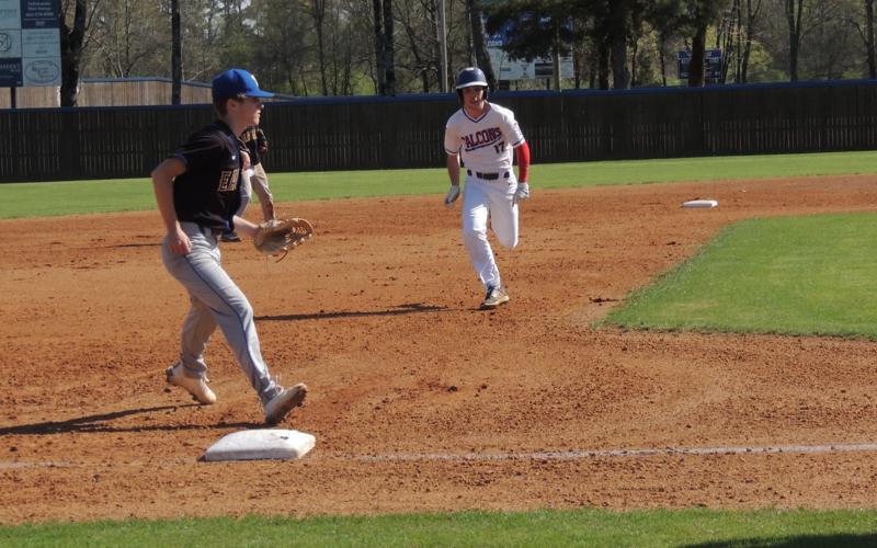 Solid pitching, hitting spells success for Falcons | Ingomar | djournal.com