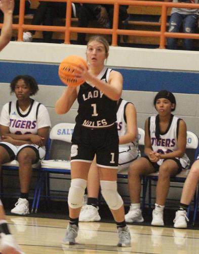 Lady Noles, Noles face tough tests at Saltillo Tournament | Sports ...
