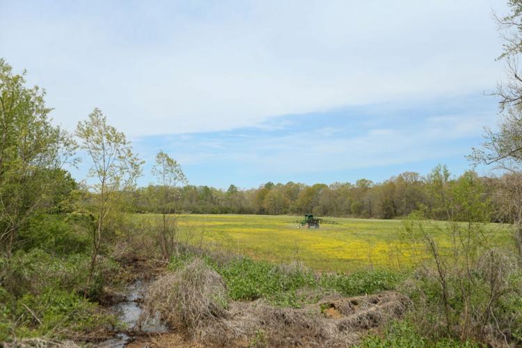 Riders from across Northeast Mississippi ride, walk the Tanglefoot ...