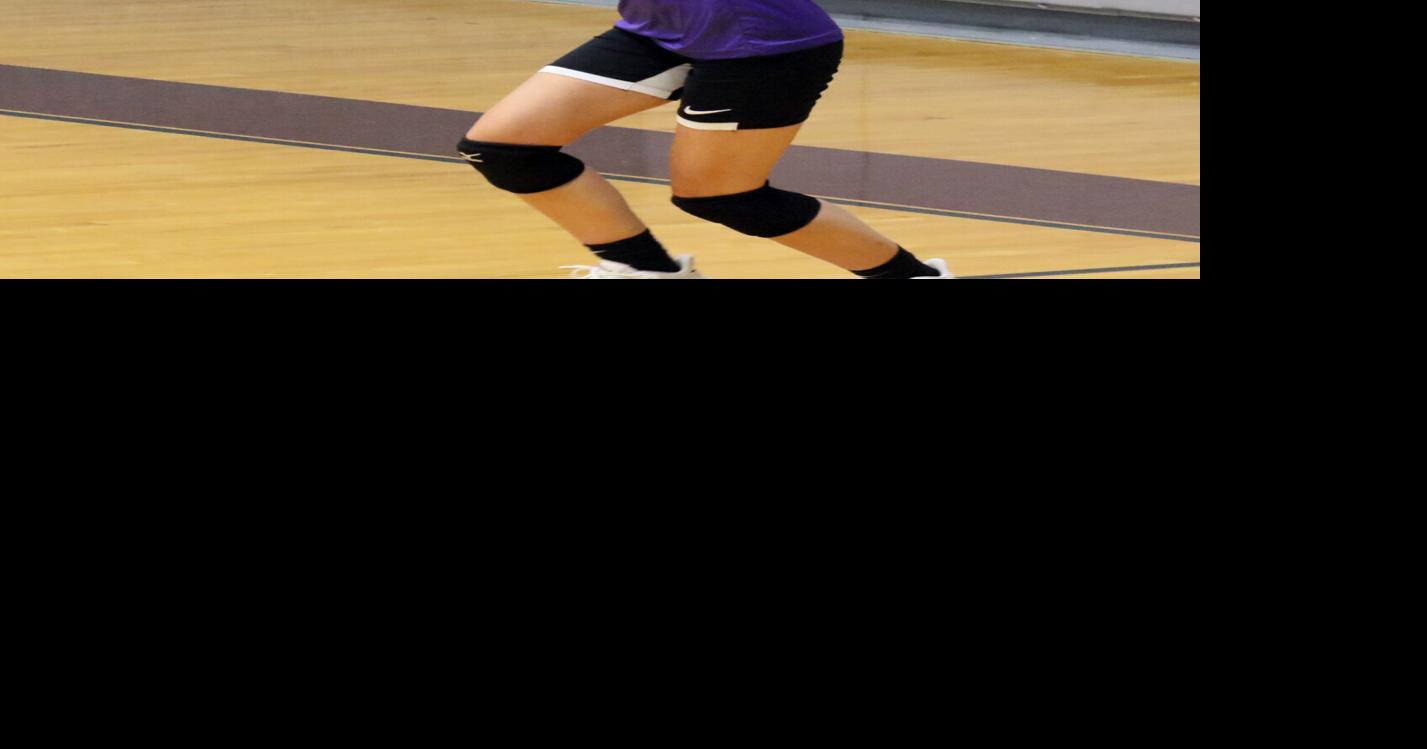 ACA volleyball takes first win against Lady Noles | Sports | djournal.com