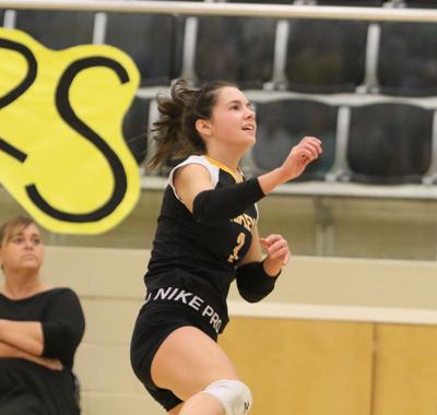 Simpson named Div. 1-4A Defensive Player of the Year | Sports ...