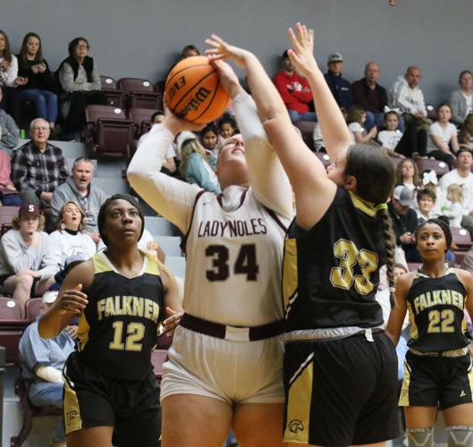 Lady Noles aiming to repeat success in summer play | Sports | djournal.com