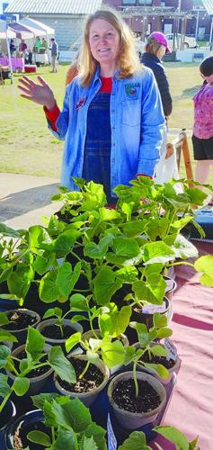 Pontotoc County Master Gardeners get multiple statewide awards | News ...