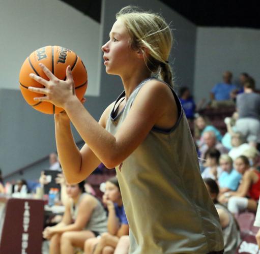 Lady Noles aiming to repeat success in summer play | Sports | djournal.com