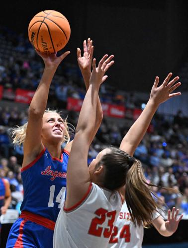 Four area hoopsters named best in the state | High school Sports ...