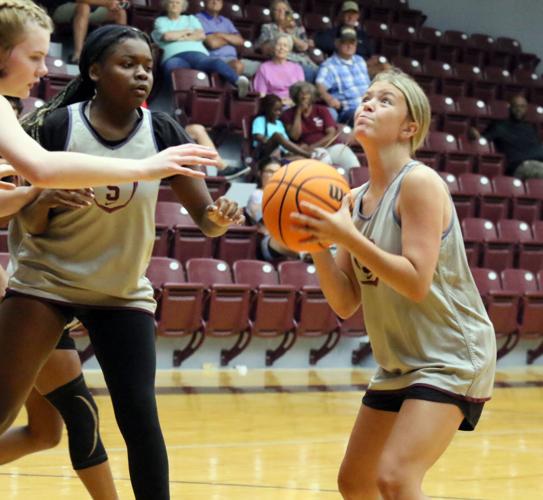 Lady Noles aiming to repeat success in summer play | Sports | djournal.com