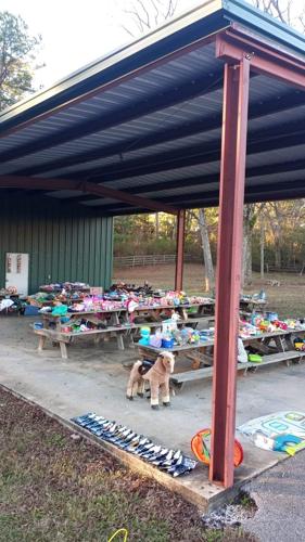 Dumas residents give back to community with Movie in the Park | News ...