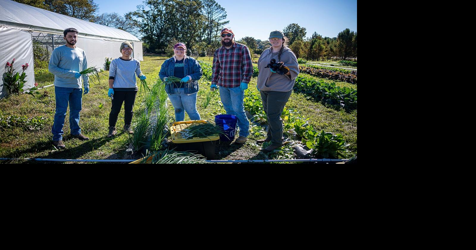 MSU student farm celebrates first harvest, feeds campus community ...