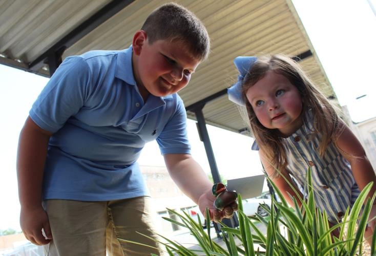 Rubber duck hunt makes for new summertime craze | Living | djournal.com