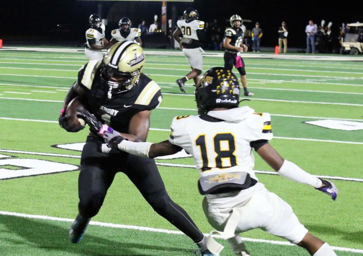 Shortcomings: Panthers fall short in first division loss to Indians ...