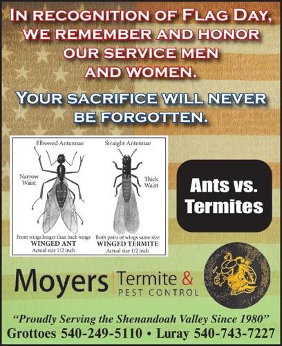 MOYERS ENTERPRISES INC | Marketplace | dnronline.com