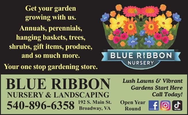 BLUE RIBBON NURSERY | Marketplace | dnronline.com