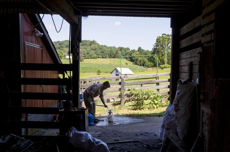 A Day On Zion's Farm | Photo | dnronline.com